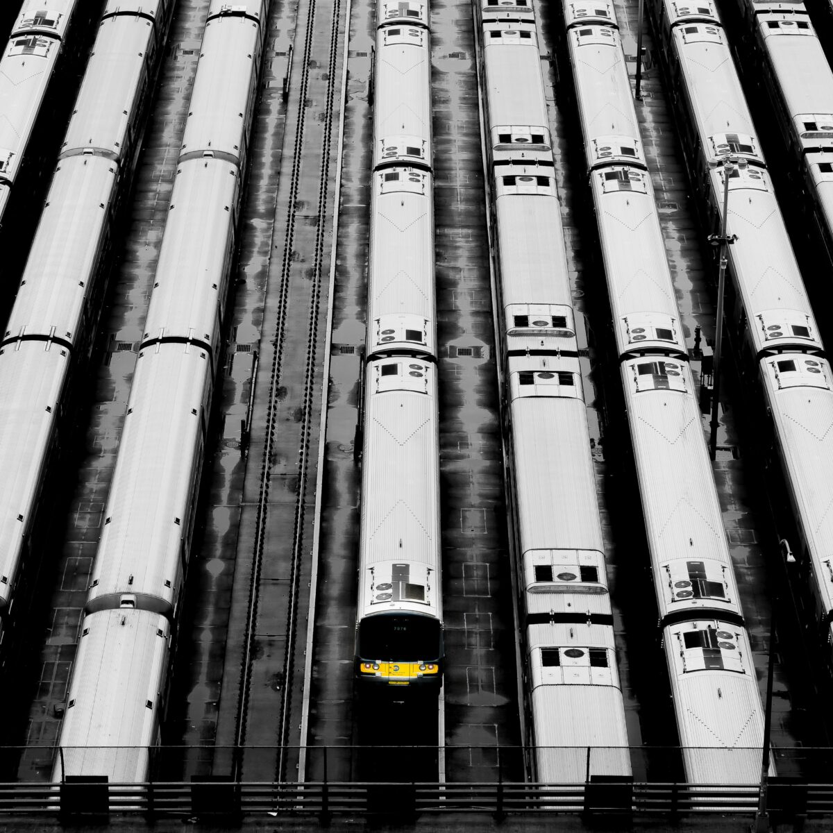 Cj Hendry: Australian Hyper-Realistic Artist - Amon Focus